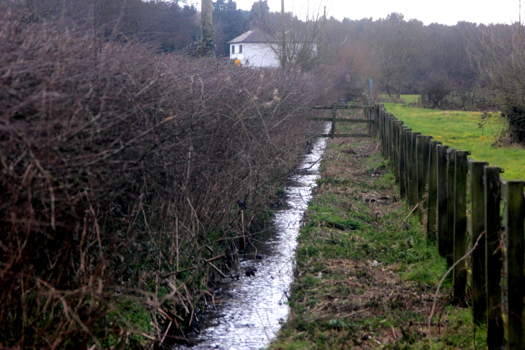 Fradley Pool - History & Heritage - Canal World