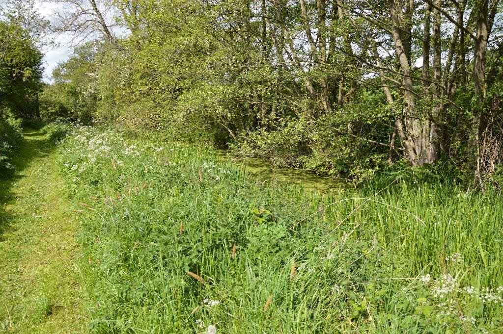 Guilsfield Arm - History & Heritage - Canal World