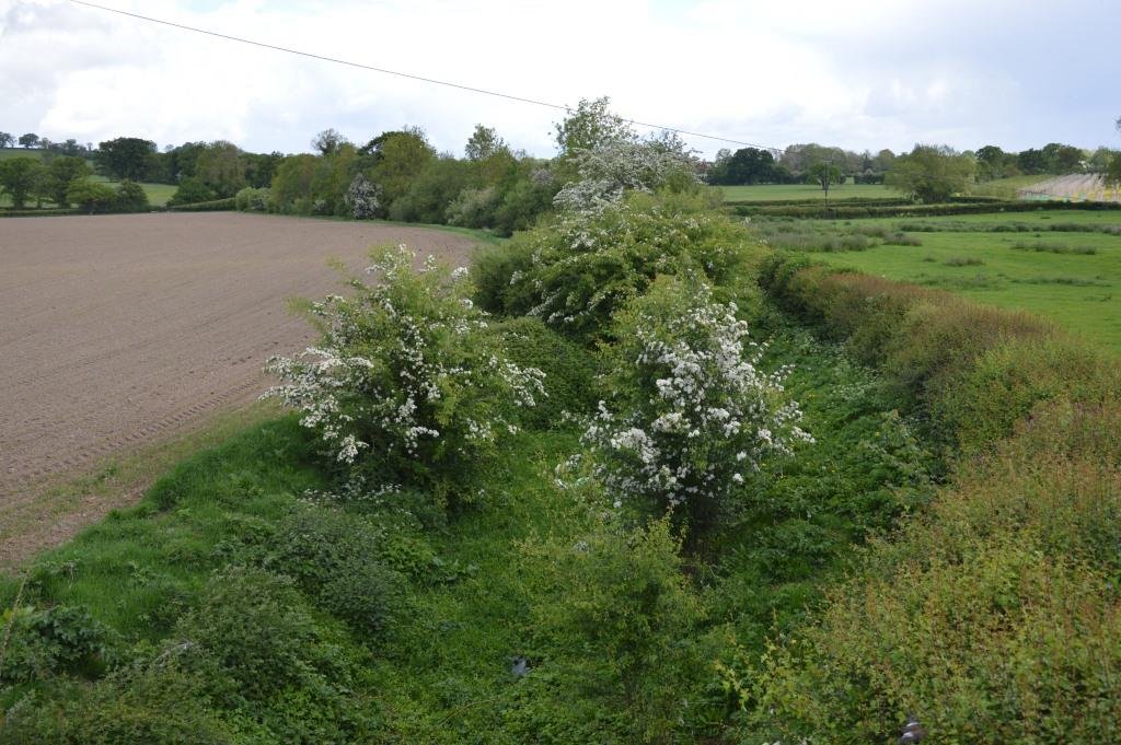 Guilsfield Arm - History & Heritage - Canal World