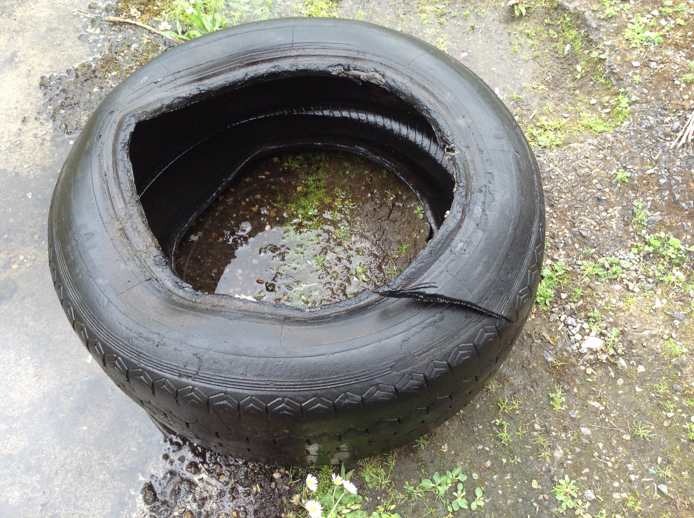 Treasures from the weed hatch - Cruise Diaries & Reports - Canal World