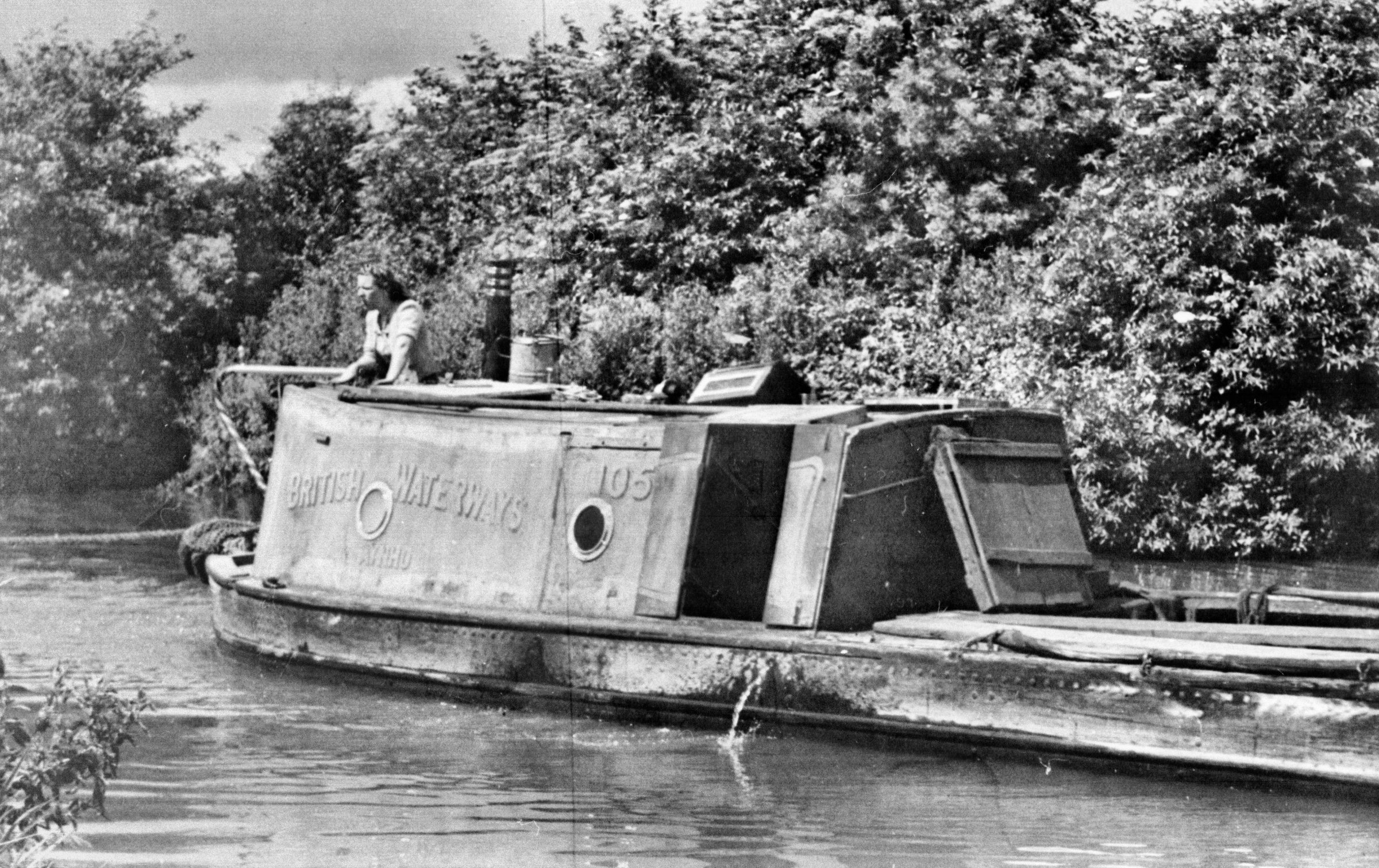 "Blue & Yellow? or whatever came along" BW livery in perspective ...