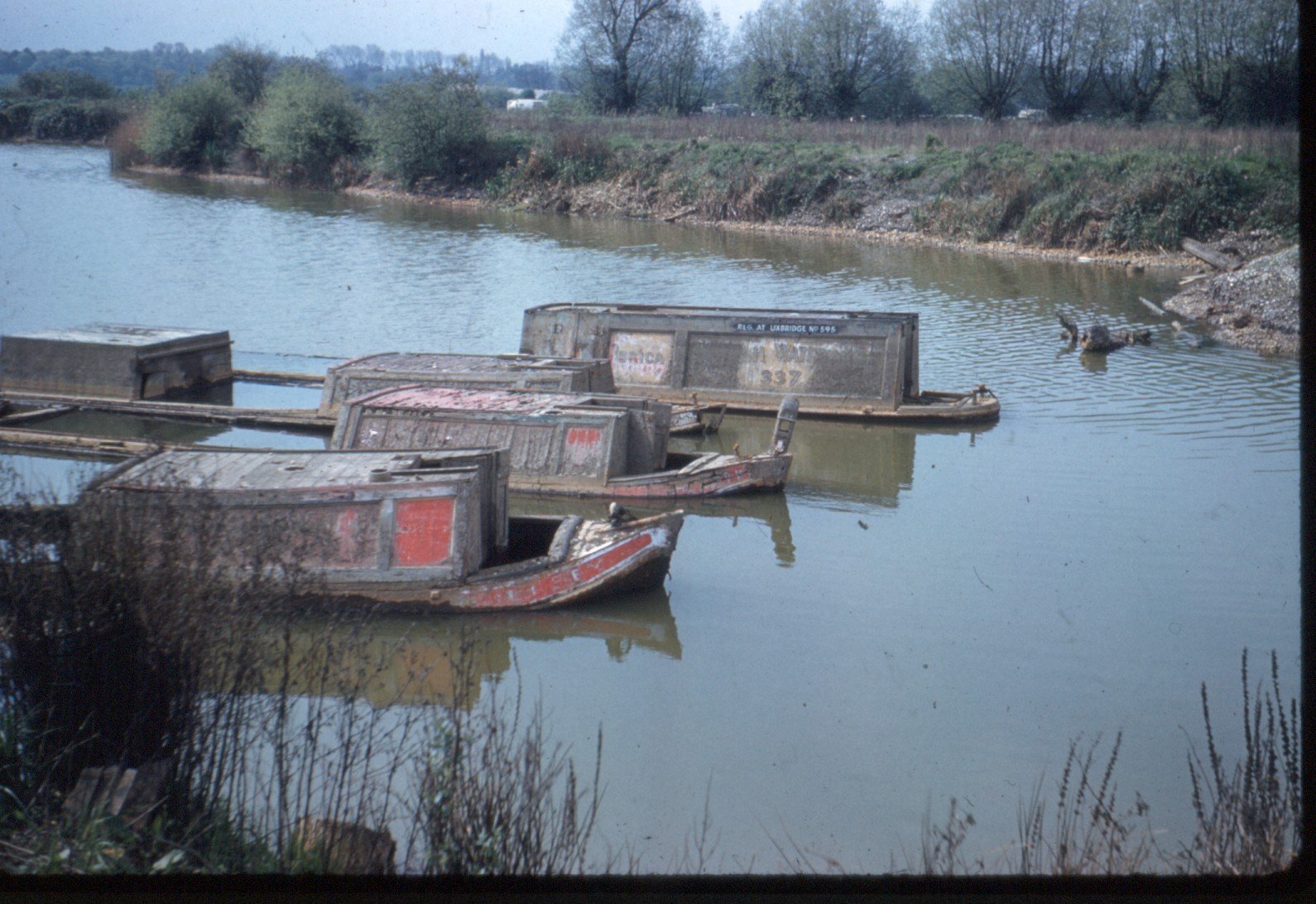 "Blue & Yellow? or whatever came along" BW livery in perspective ...