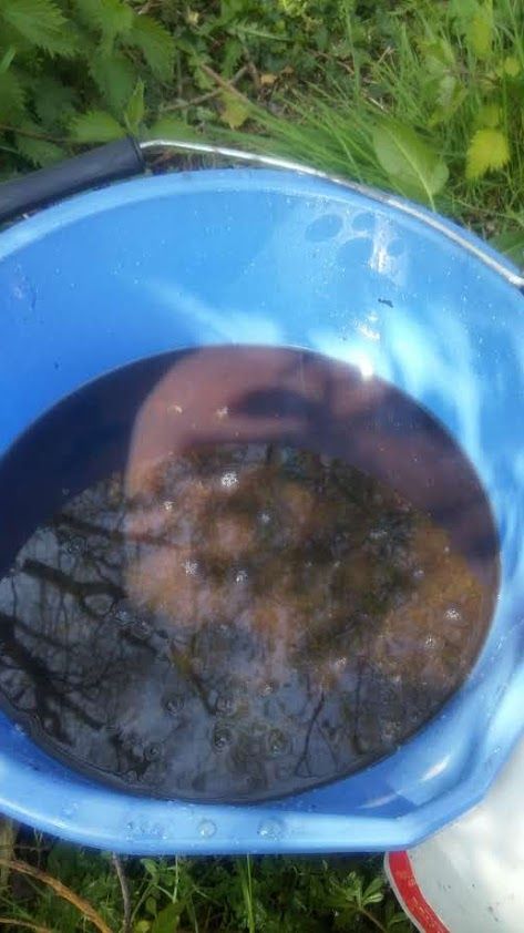 Contaminated bilge water - help please! - General Boating - Canal World