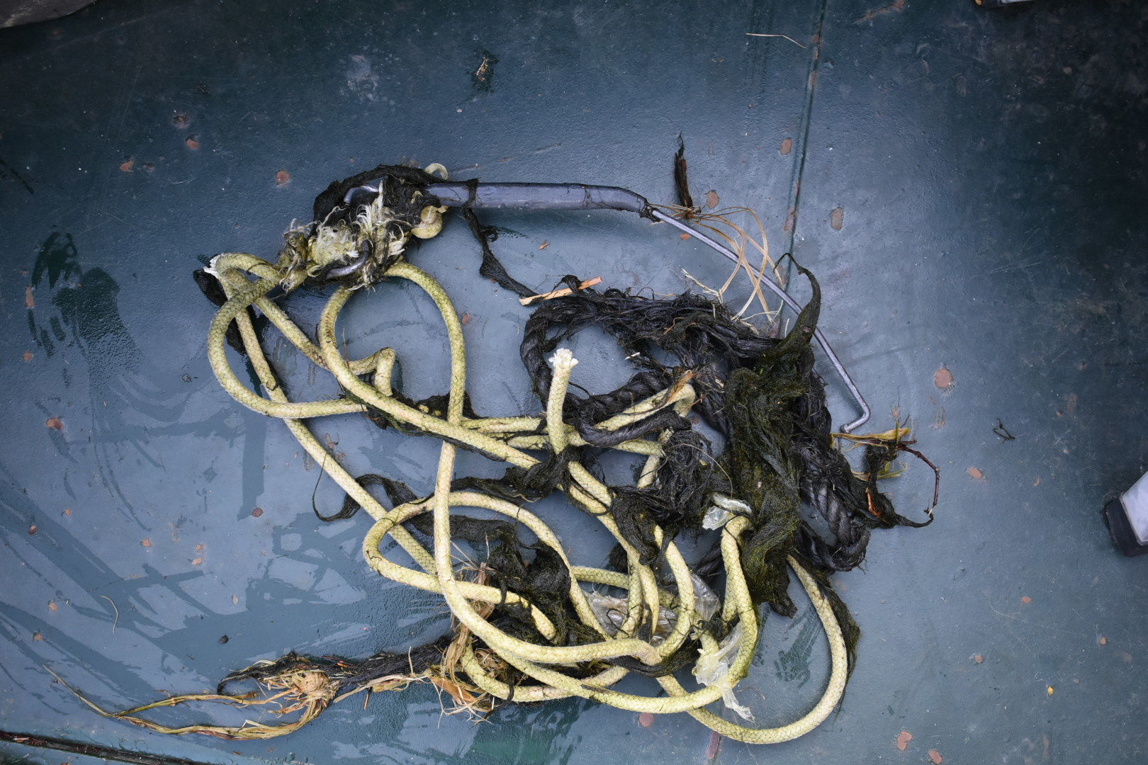 Rubbish around the propeller - New to Boating? - Canal World