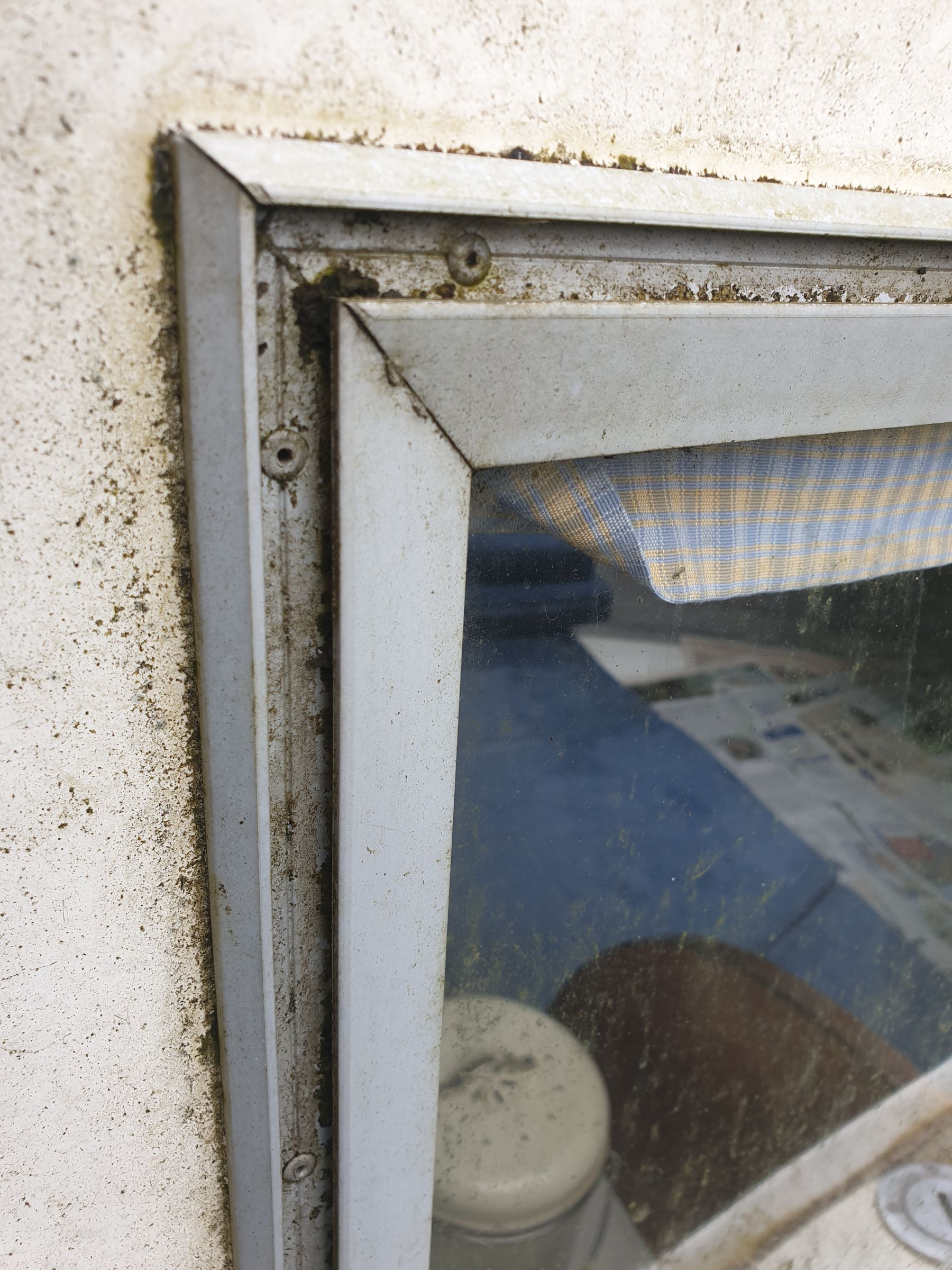 Water ingress through window frames - Boat Building & Maintenance ...