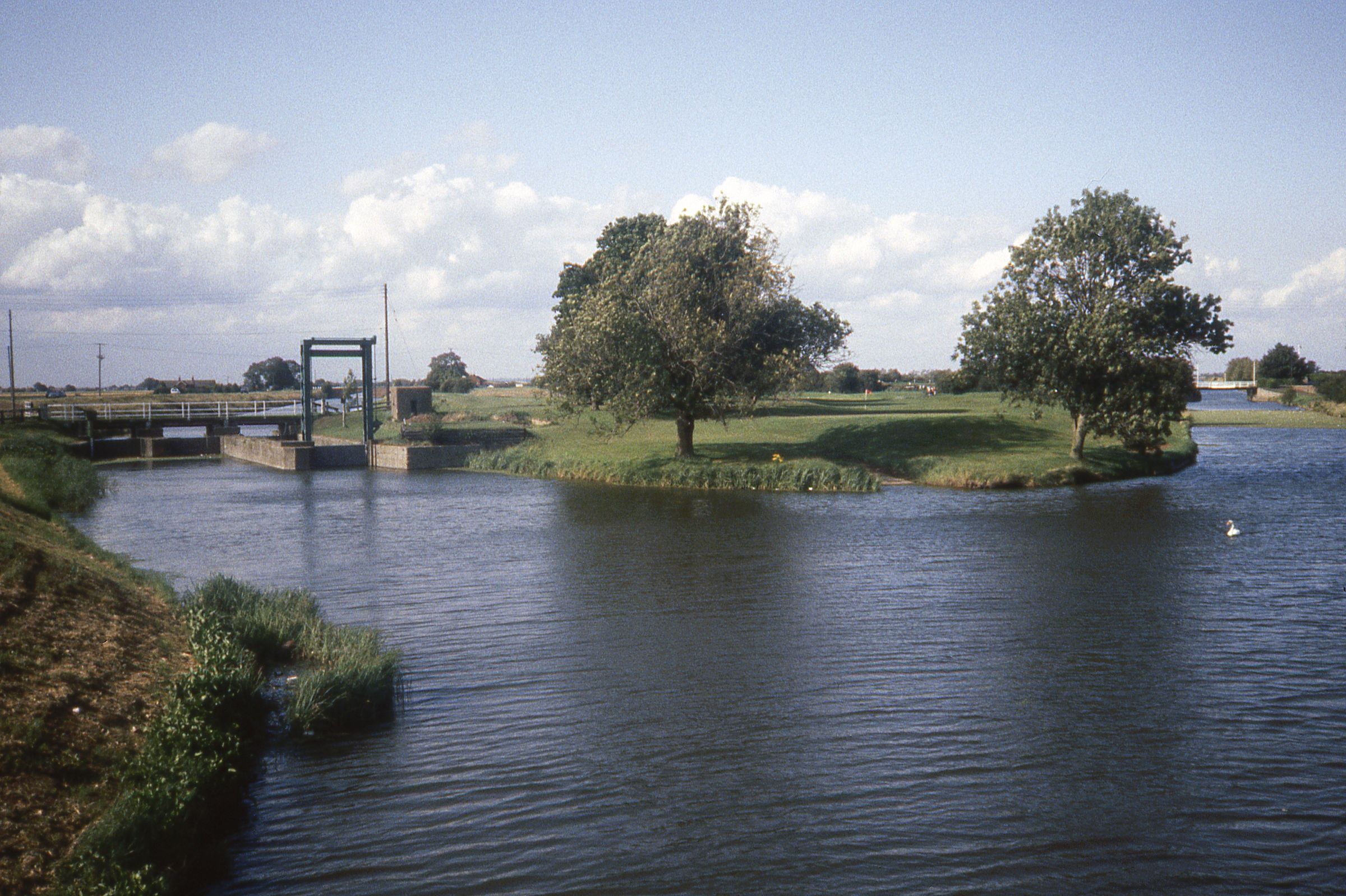 Tonic required. Send in your photos of what is nice on the waterways ...