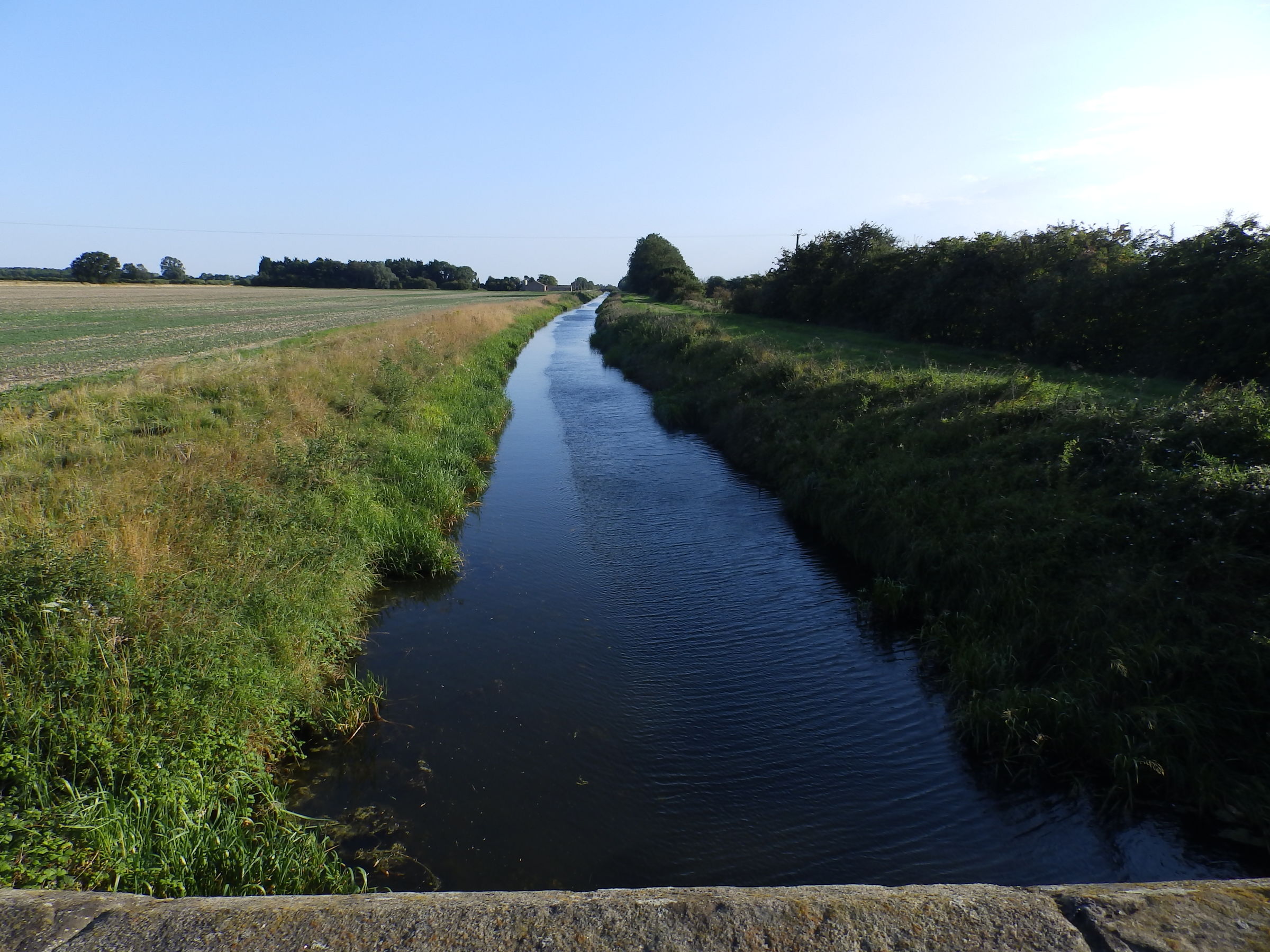 Tonic required. Send in your photos of what is nice on the waterways ...
