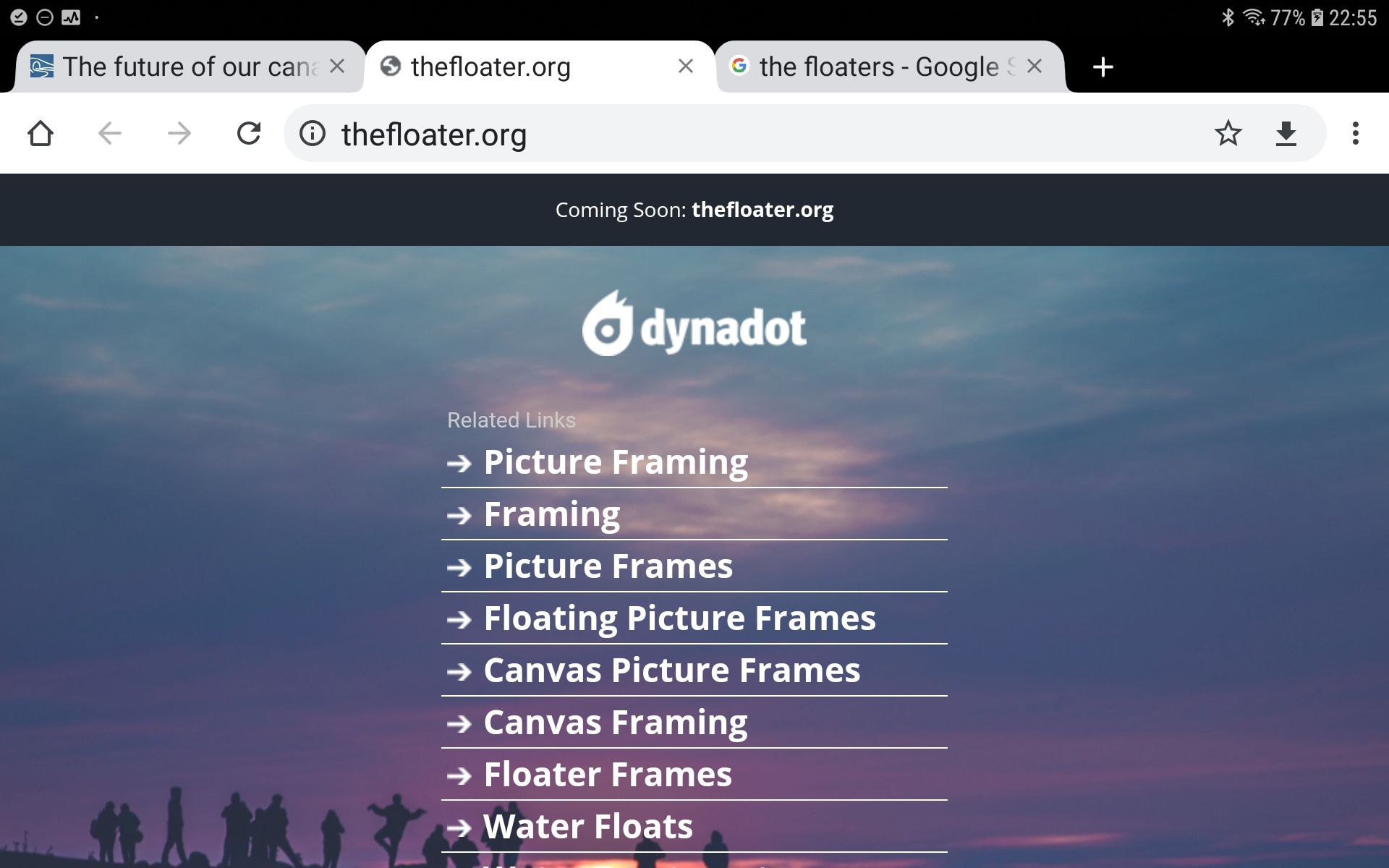 The future of our canals? - General Boating - Canal World