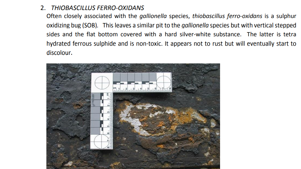 Hull corrosion - Boat Building & Maintenance - Canal World