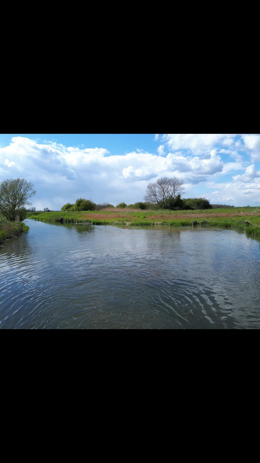 Sleaford Navigation - General Boating - Canal World