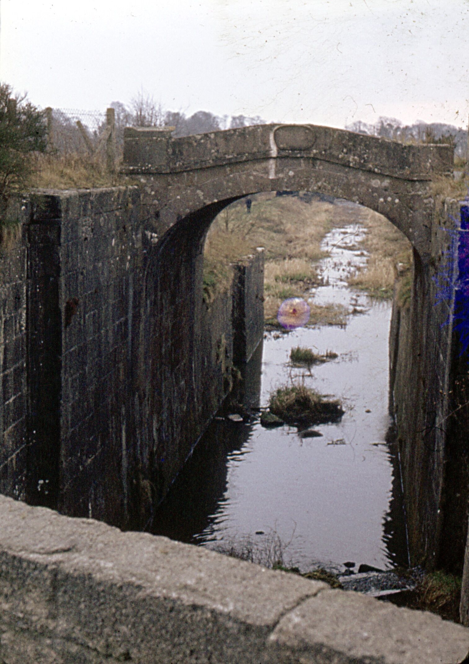 Irish canal archive - History & Heritage - Canal World