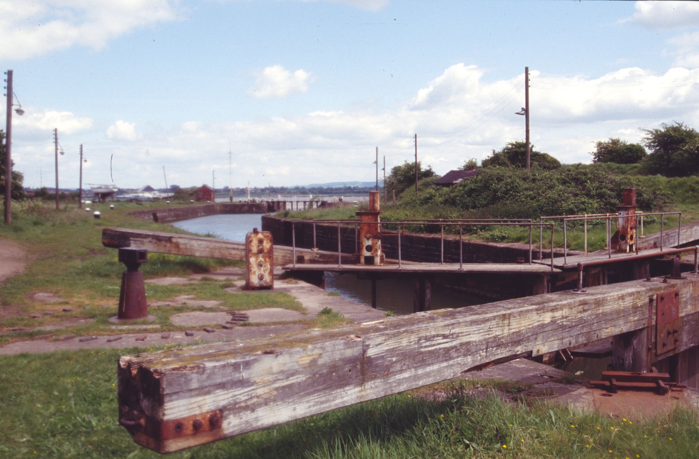 Tonic required. Send in your photos of what is nice on the waterways ...