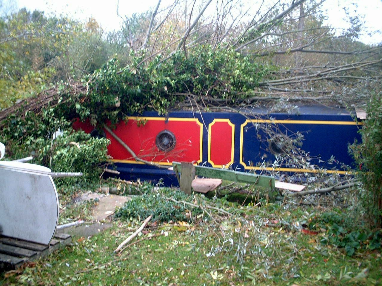 Mooring under trees - General Boating - Canal World