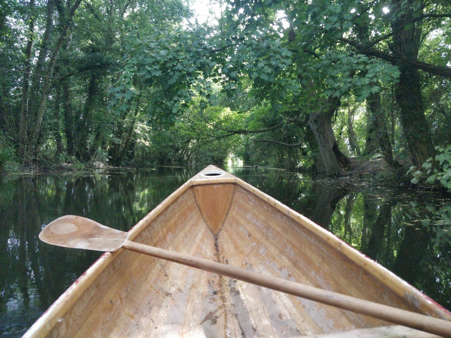 Cotswold Canals - Page 2 - History & Heritage - Canal World