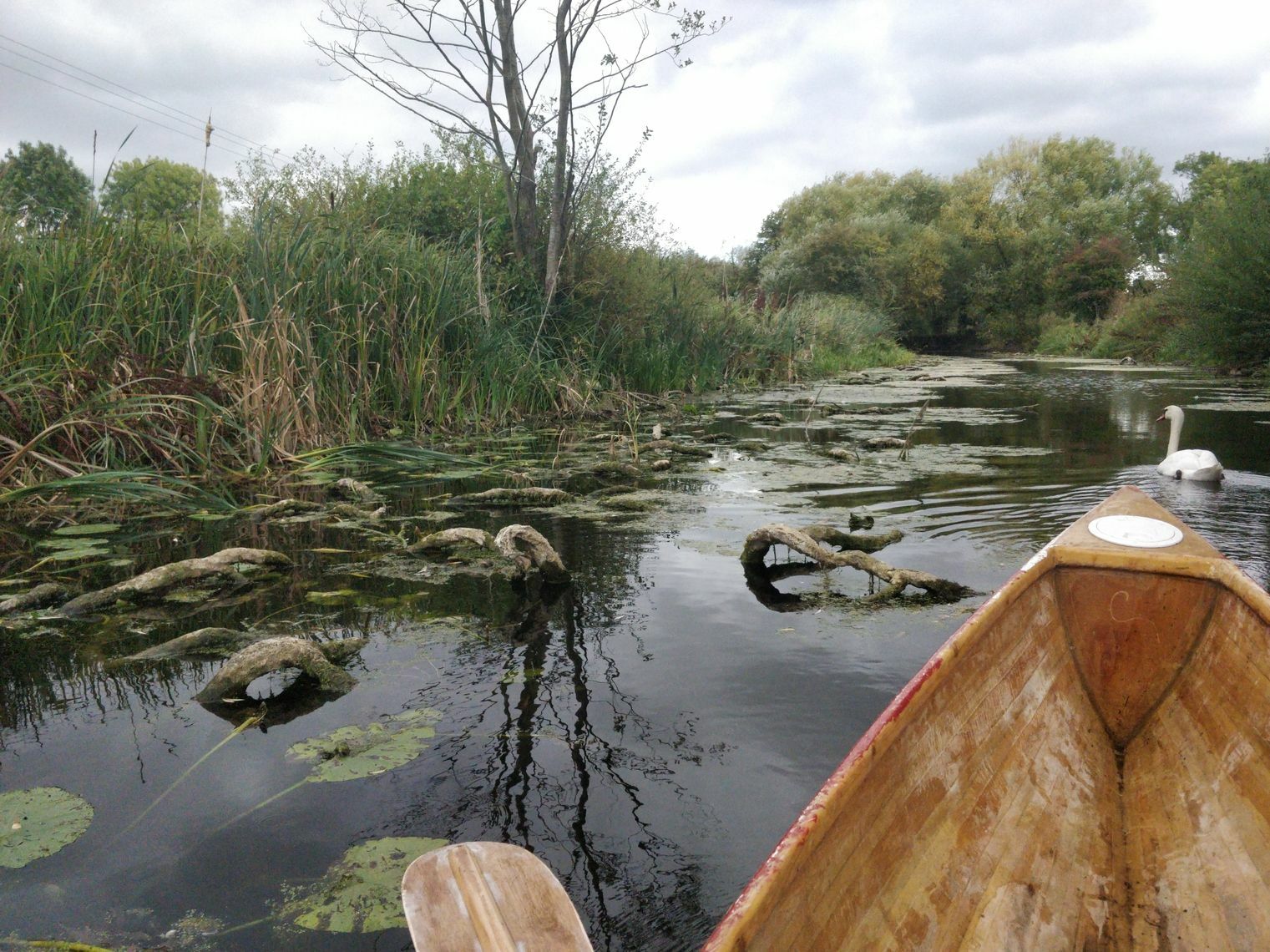 Cotswold Canals - Page 2 - History & Heritage - Canal World
