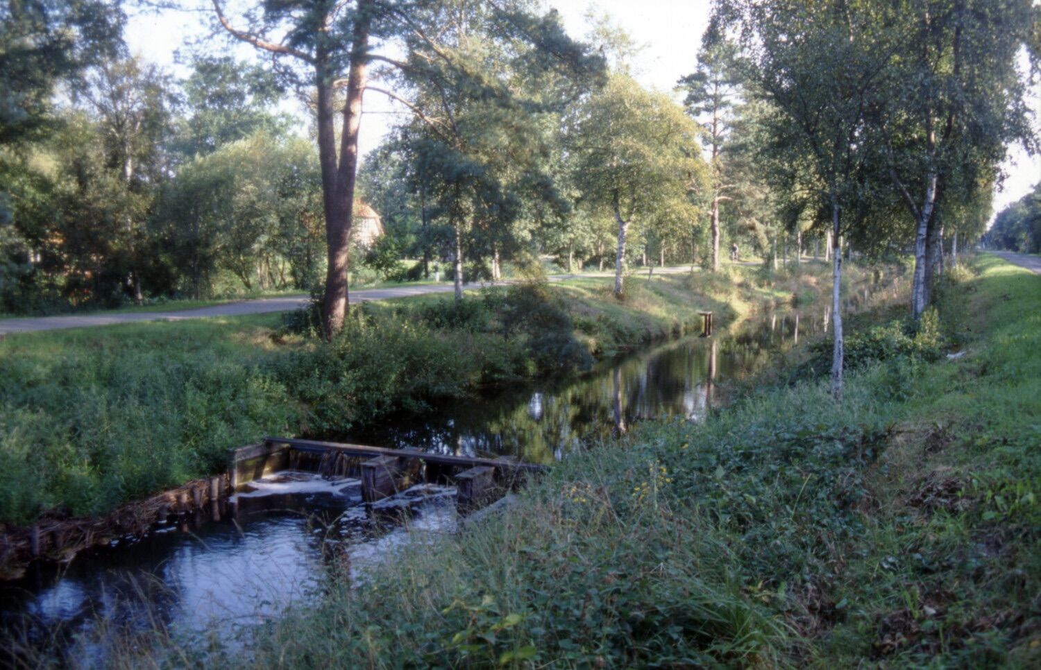 Tonic required. Send in your photos of what is nice on the waterways ...
