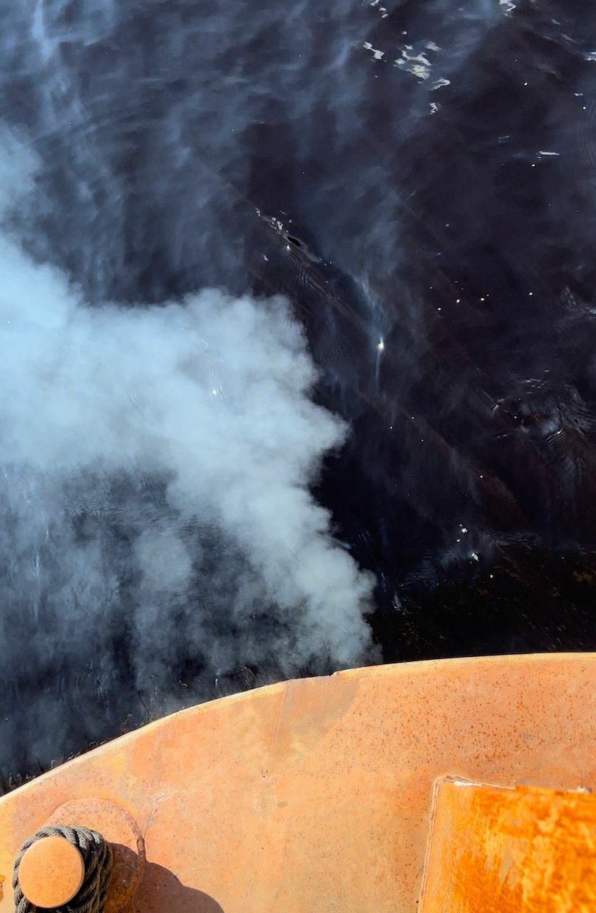 BMC engine with white smoke..... - Boat Building & Maintenance - Canal ...