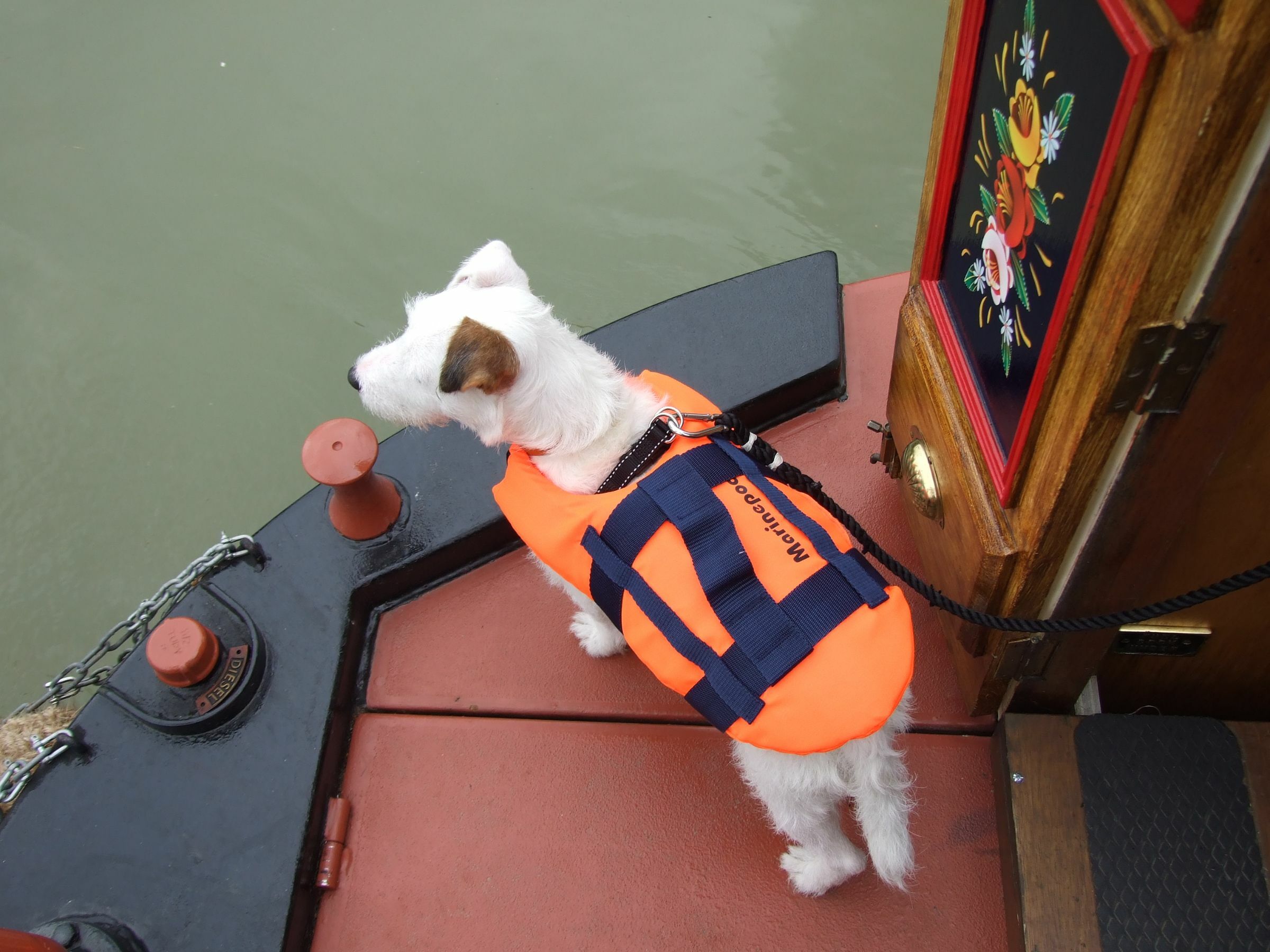 A plea to dog owners on the cut (and general) - Page 6 - General ...