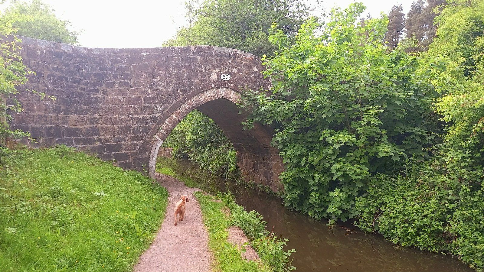 Cherry Eye Bridge - History & Heritage - Canal World