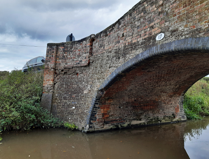 Tonic required. Send in your photos of what is nice on the waterways ...