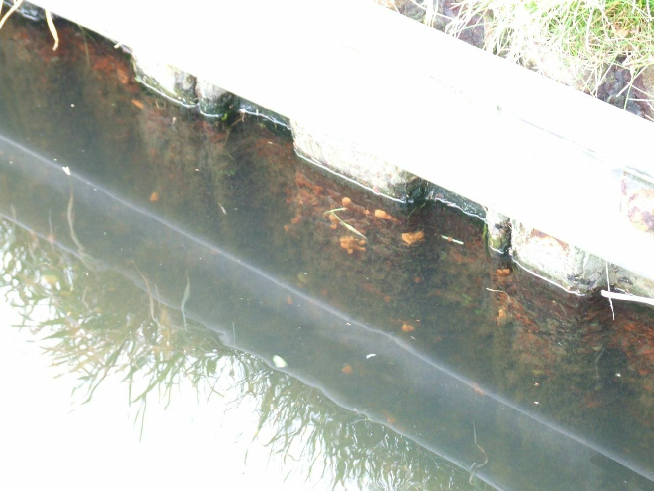 Rust patches or microbial / MIC? - Boat Building & Maintenance - Canal ...