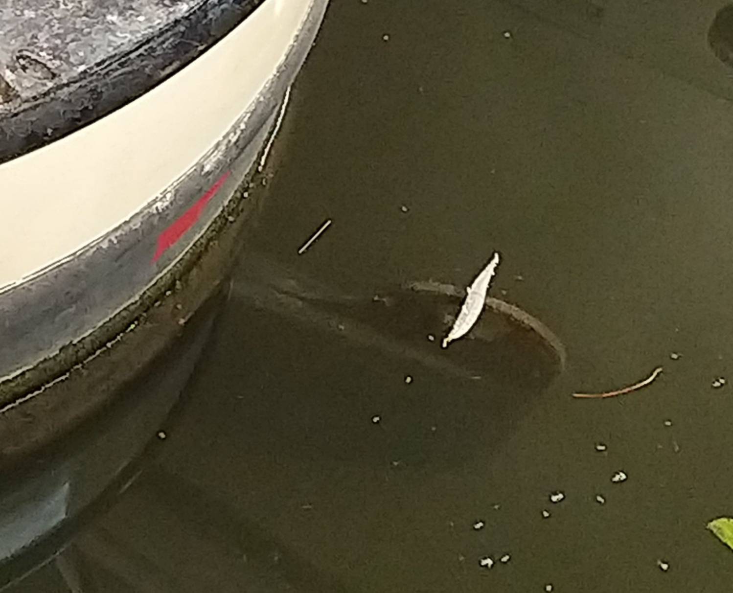 Has anyone fitted a shilling rudder to there narrowboat - Build Blogs ...