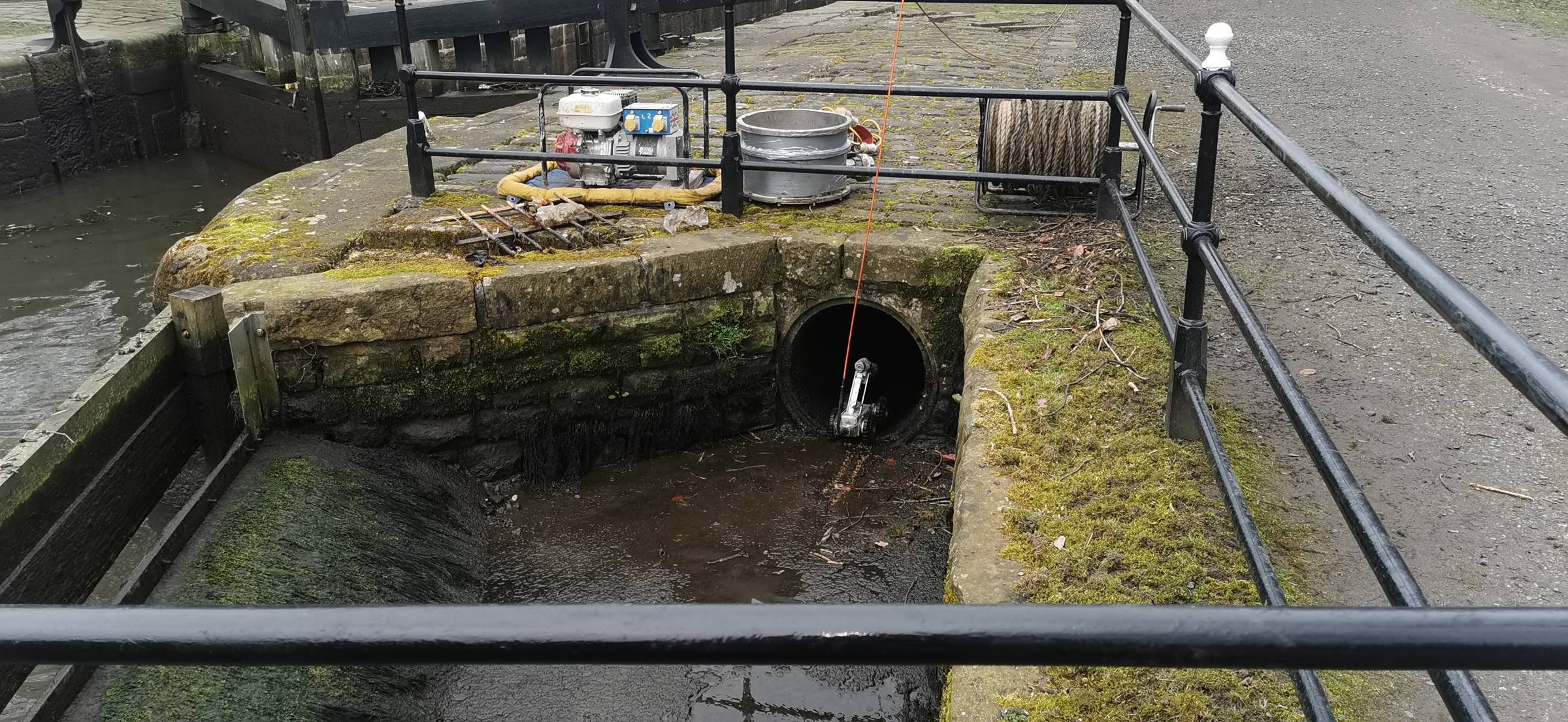Tonic required. Send in your photos of what is nice on the waterways ...