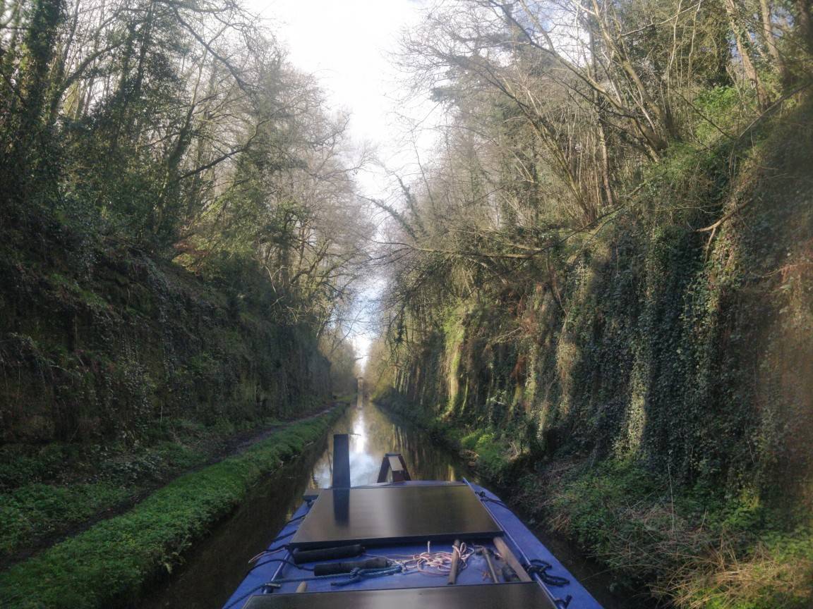 Tonic required. Send in your photos of what is nice on the waterways ...