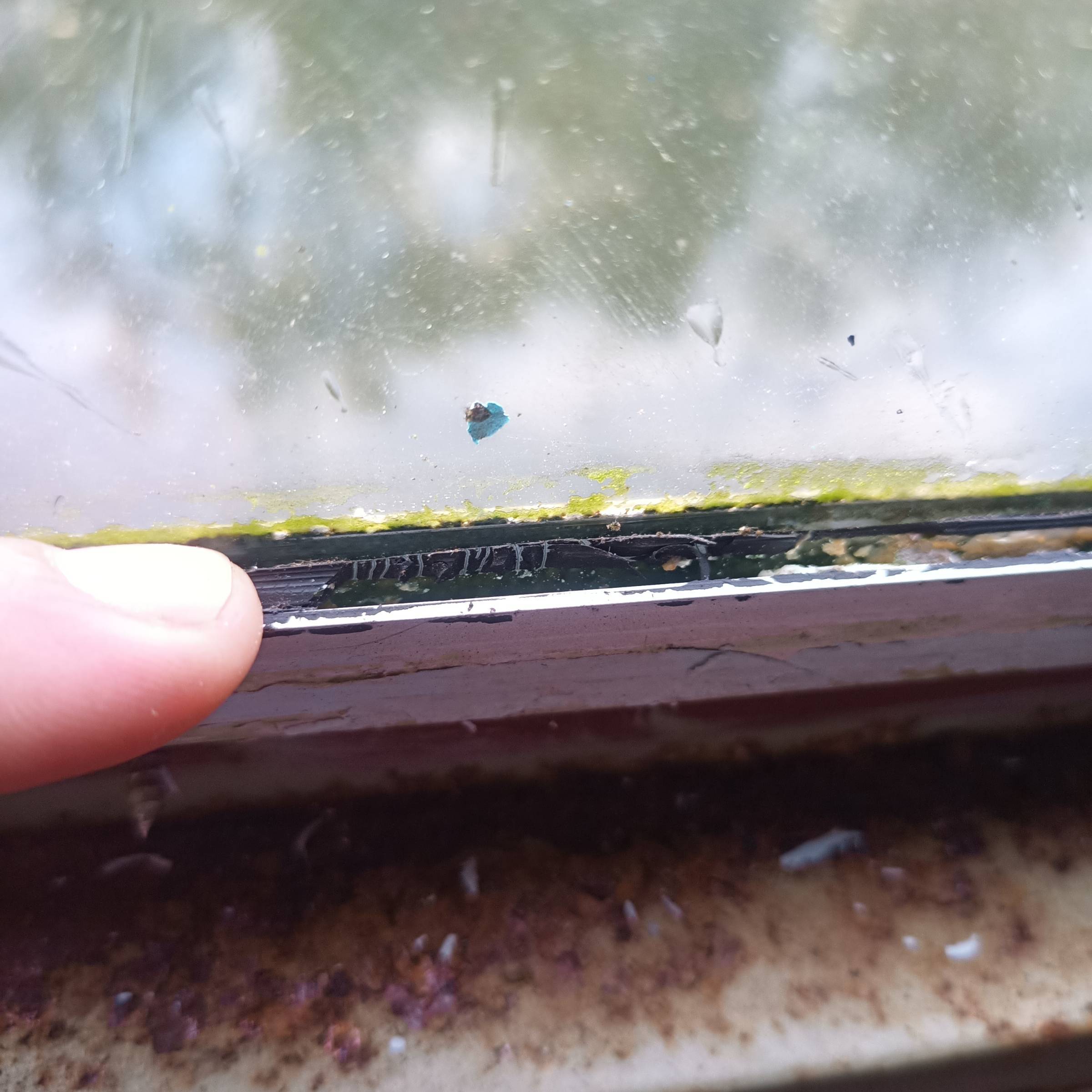 Interior window gutter - condensation tray? - Boat Equipment - Canal World