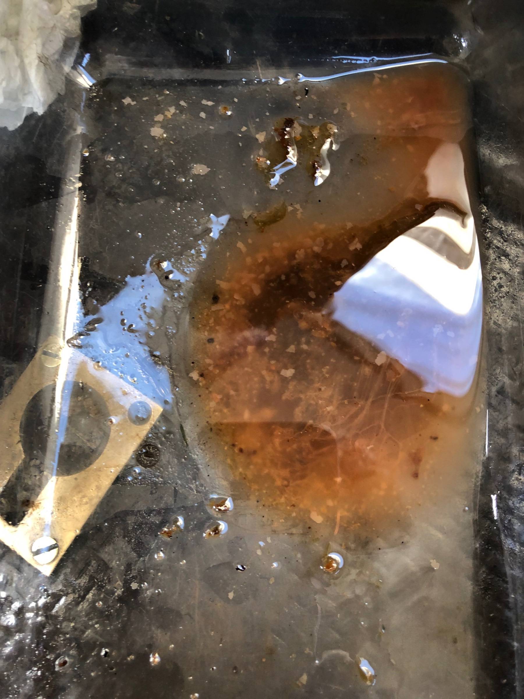 Cloudy diesel and longevity of diesel - Boat Building & Maintenance ...