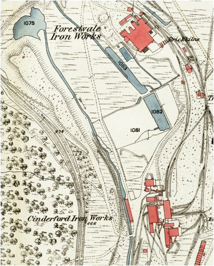 Cinderford Canal, Forest of Dean - History & Heritage - Canal World