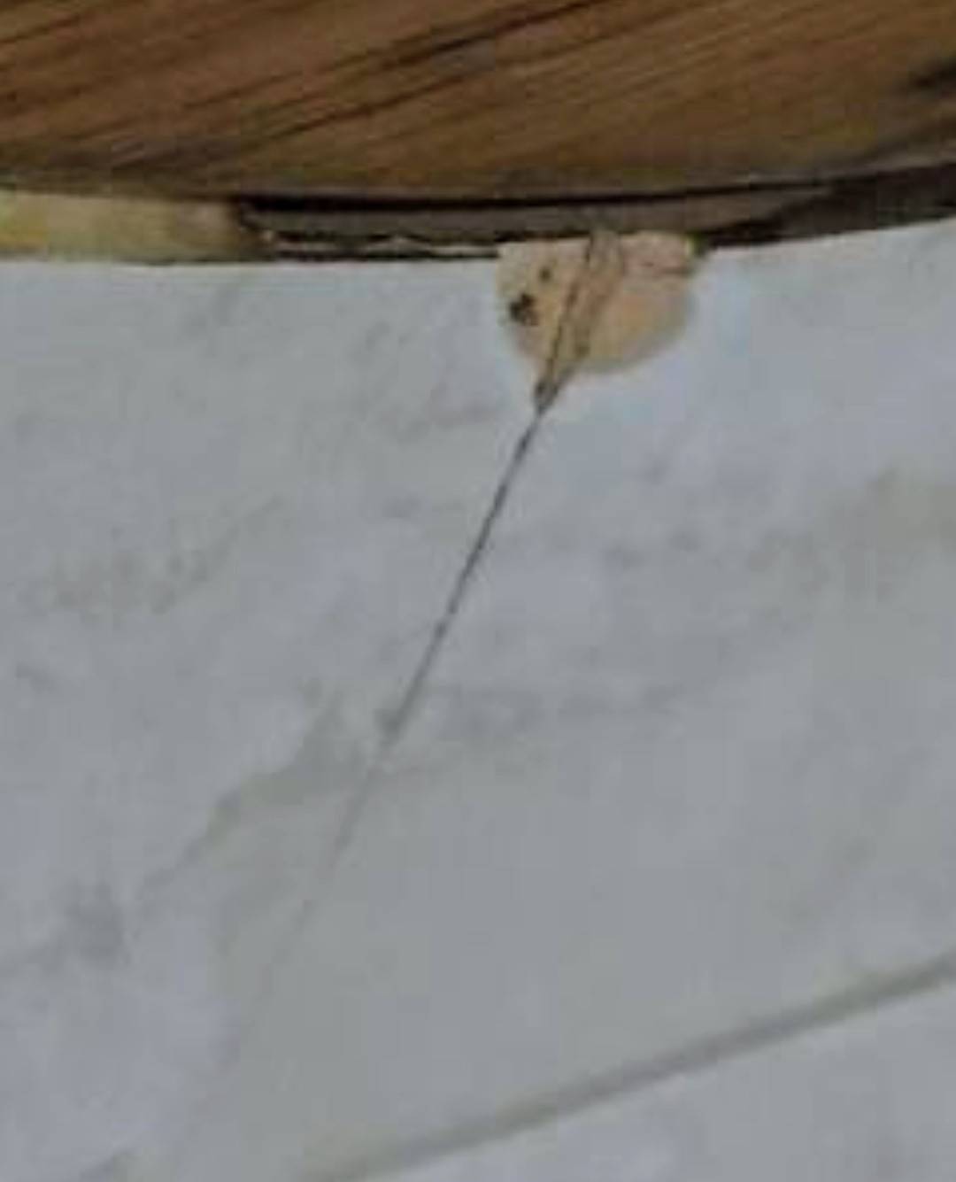 Fixing chipped tiles - Boat Building & Maintenance - Canal World