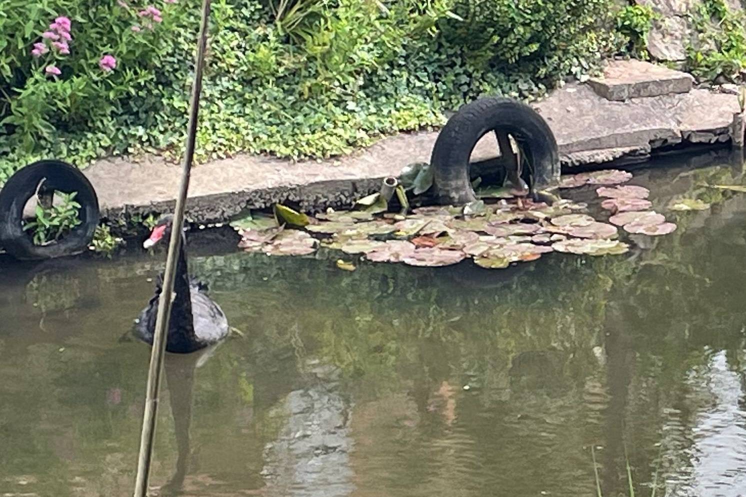 Bratch locks - General Boating - Canal World