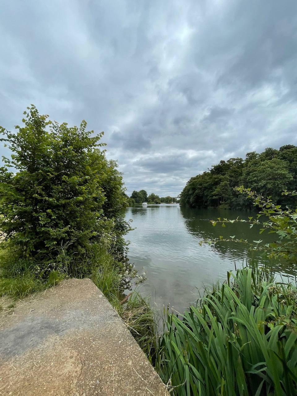 Tonic required. Send in your photos of what is nice on the waterways ...