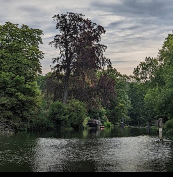 Chelsea 'Mega' house boats can stay. - General Boating - Canal World