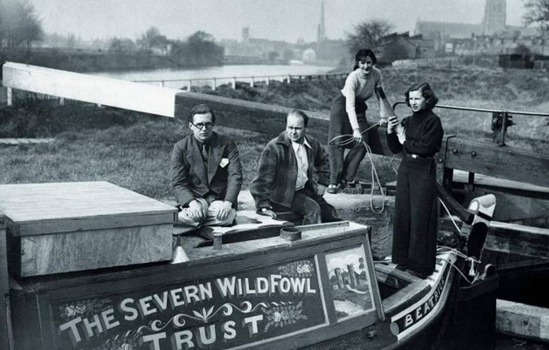Beatrice in 1950 - History & Heritage - Canal World