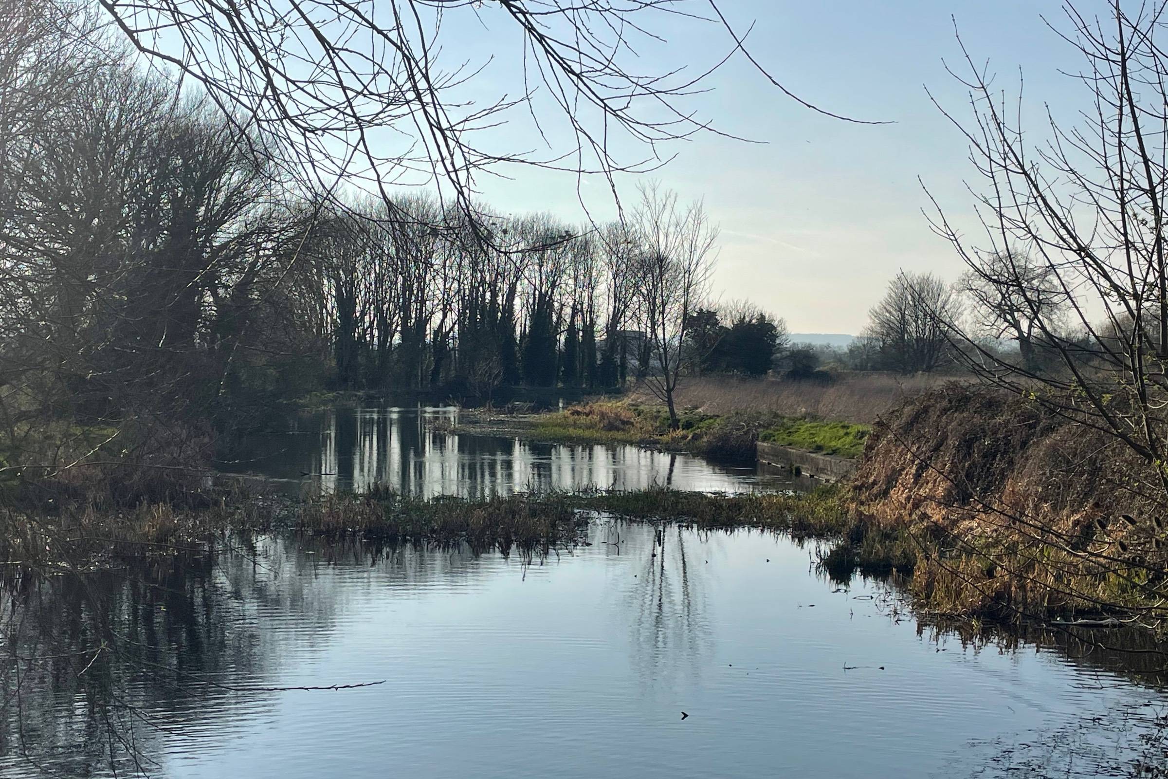 Tonic required. Send in your photos of what is nice on the waterways ...