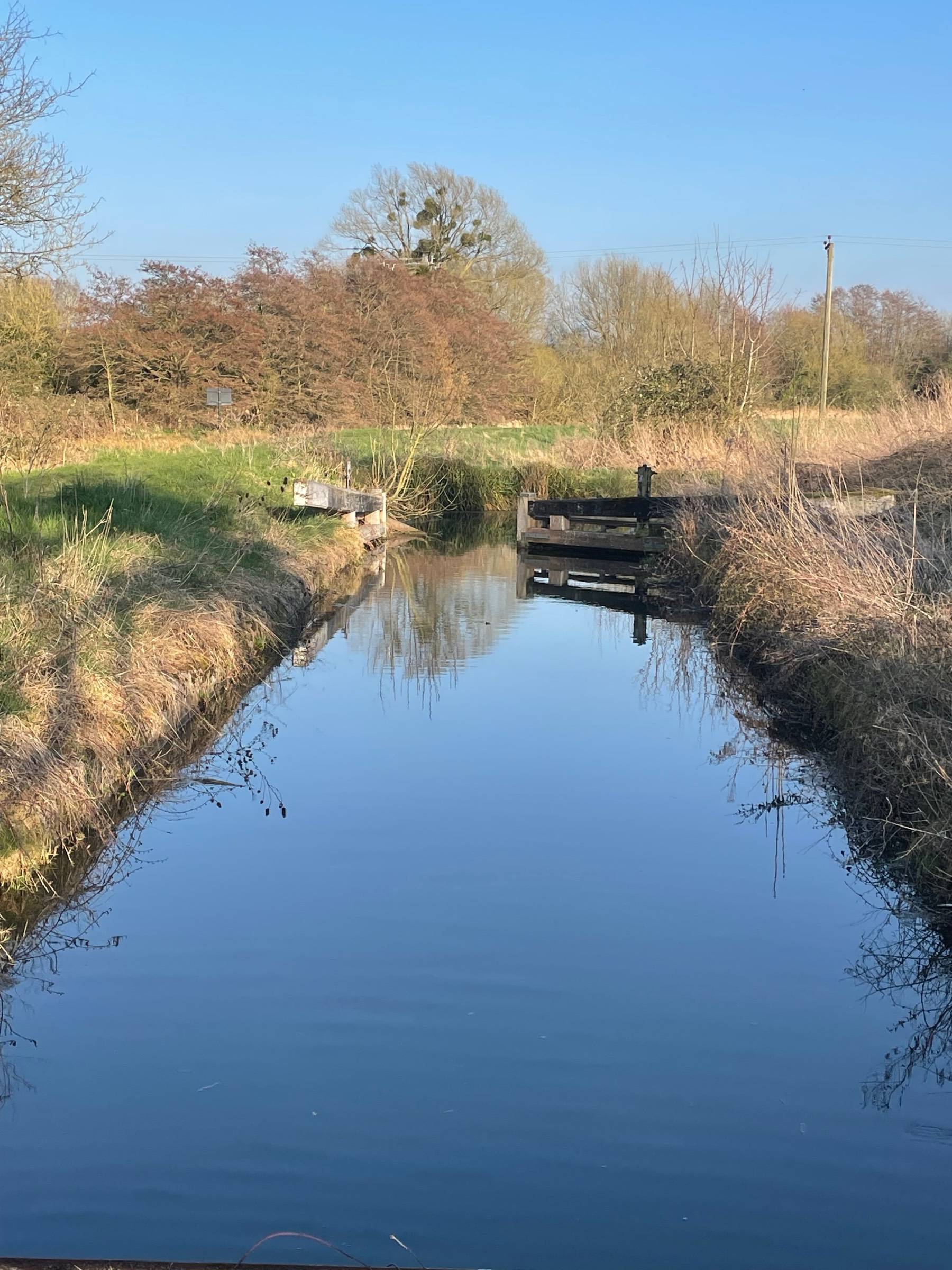 Tonic required. Send in your photos of what is nice on the waterways ...